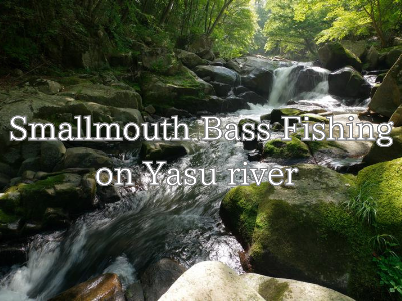 Smallmouth Bass Fishing on Yasu River | Flowing into Lake Biwa