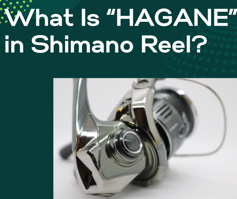Shimano's HAGANE Concept [Meaning of HAGANE Gear and HAGANE Body]