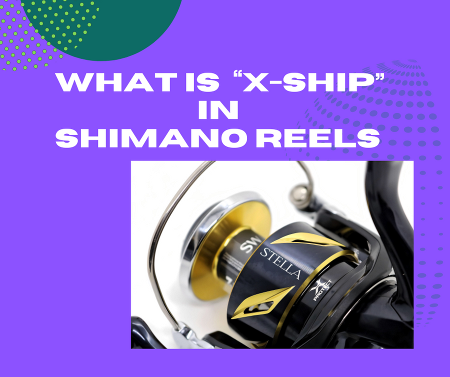Unveil Shimano X-Ship Technology; Comparing DAIWA and Abu Garcia Reel