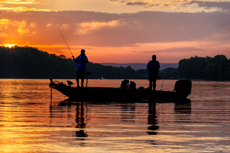 JDMREELHUB -Worldwide Japanese Fishing Reel Store-