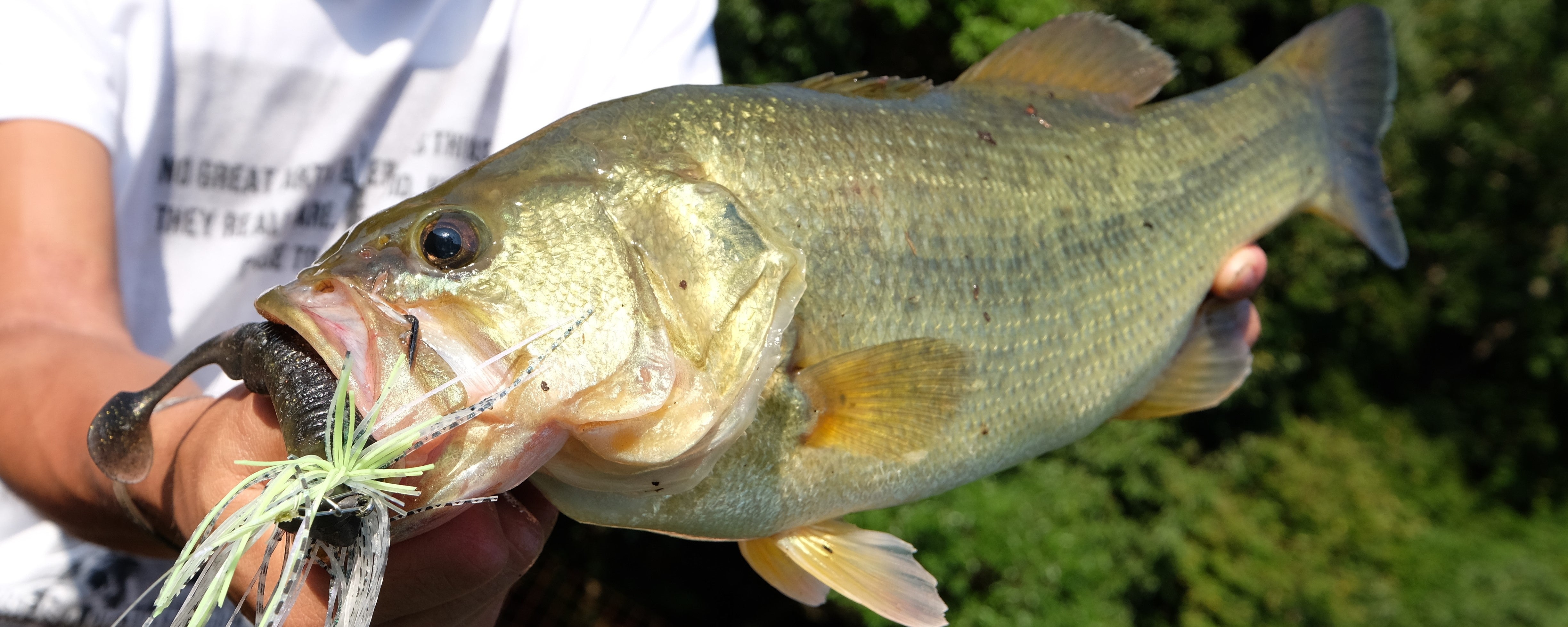 JDMREELHUB.COM [Worldwide JDM Fishing Tackle Online Store from Japan]